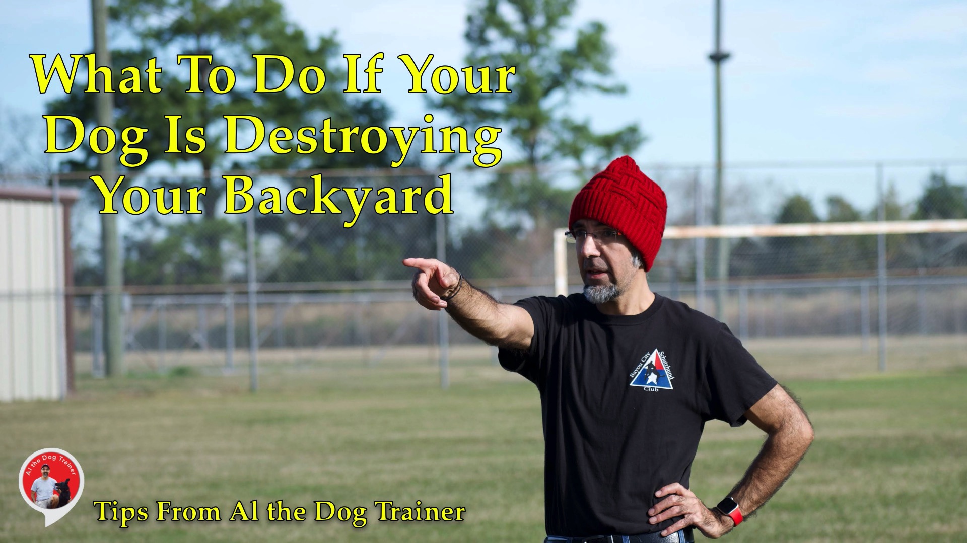 What To Do If Your Dog Is Destroying Your Backyard - Longoriahaus Dog ...
