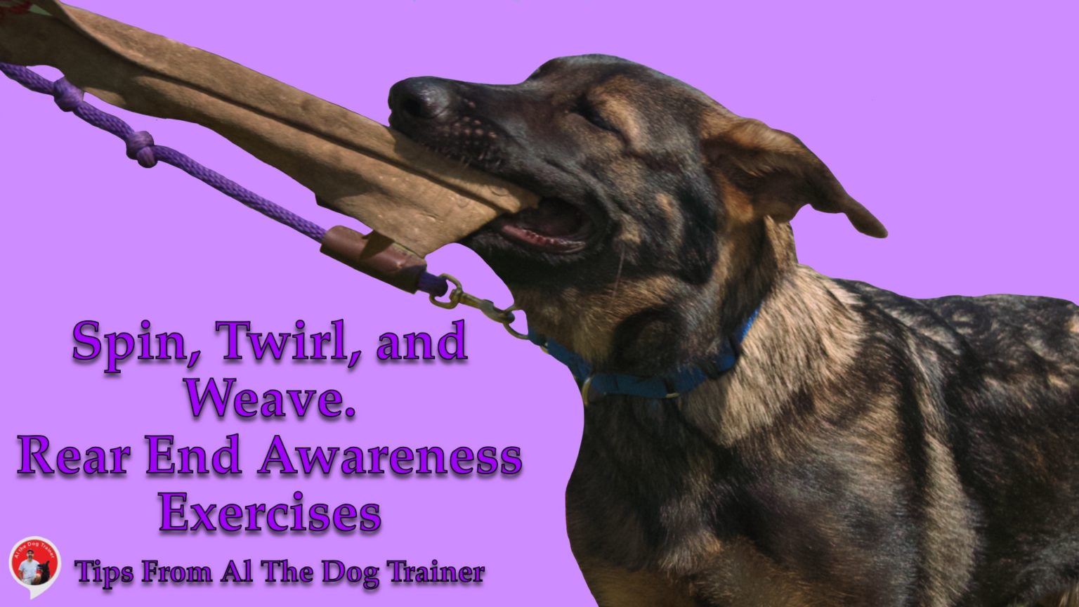 Spin Twirl And Weave Rear End Awareness Exercises Longoriahaus Dog 