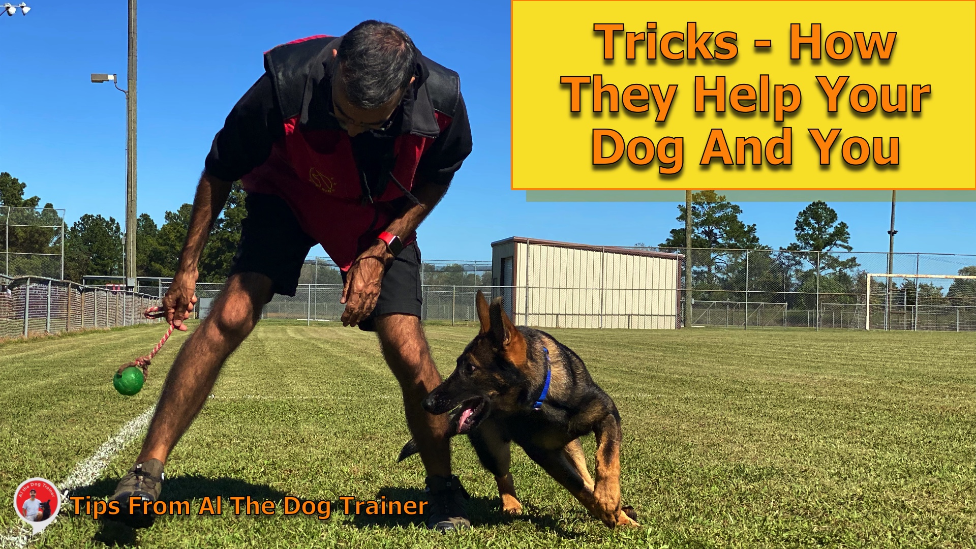 Tricks - How They Help Your Dog And You - Longoriahaus Dog Training