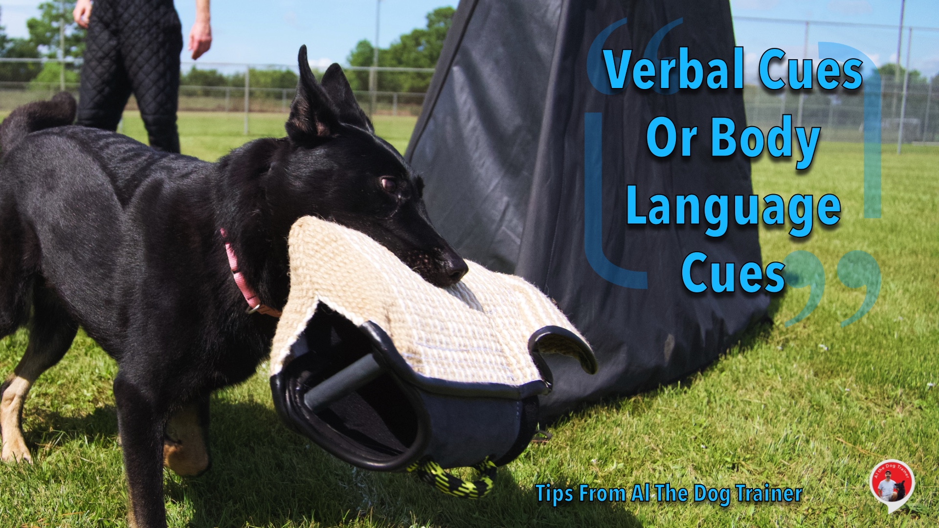 Verbal Cues Or Body Language Cues - Longoriahaus Dog Training