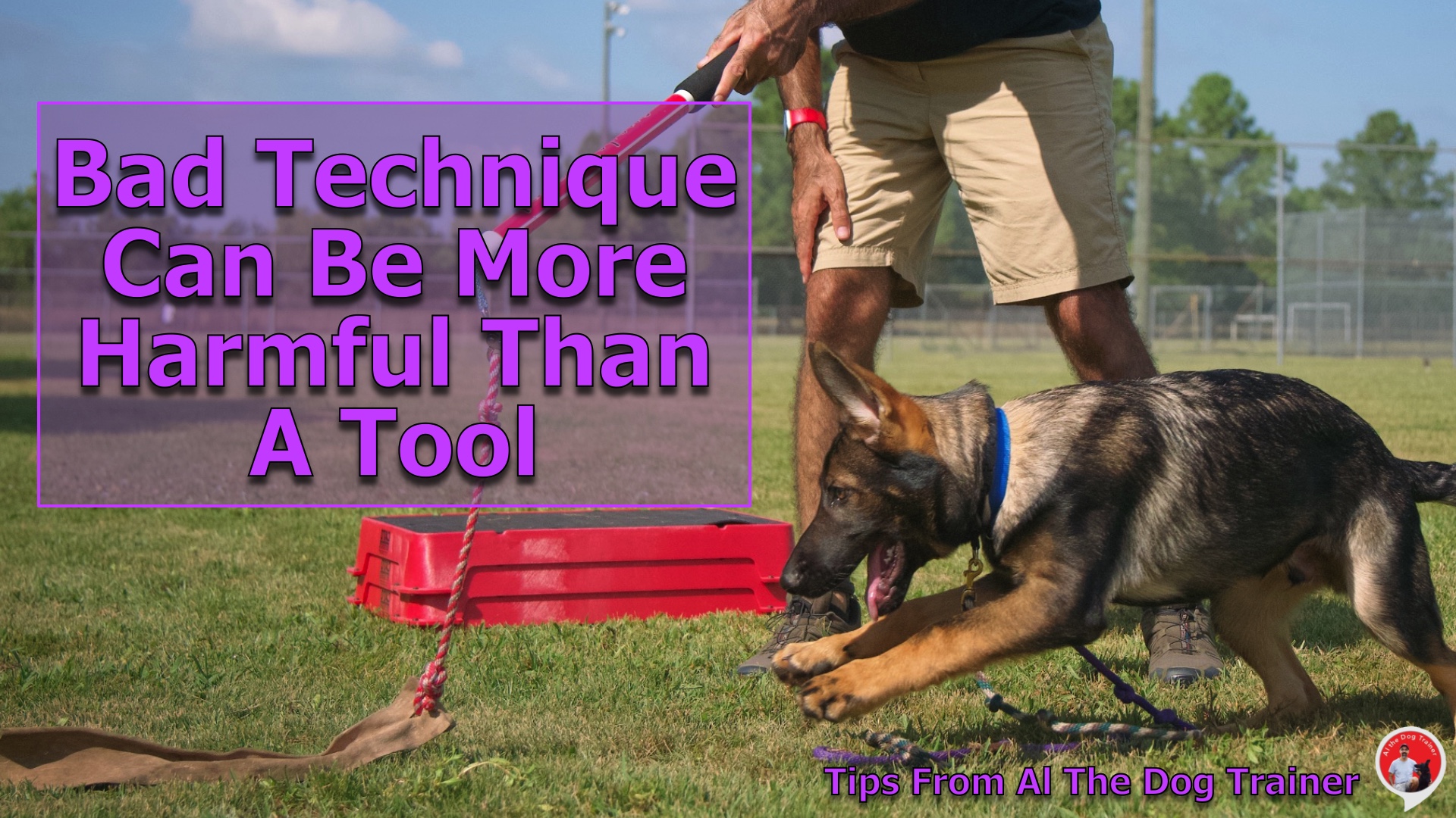 Bad Technique Can Be More Harmful Than A Tool - Longoriahaus Dog Training