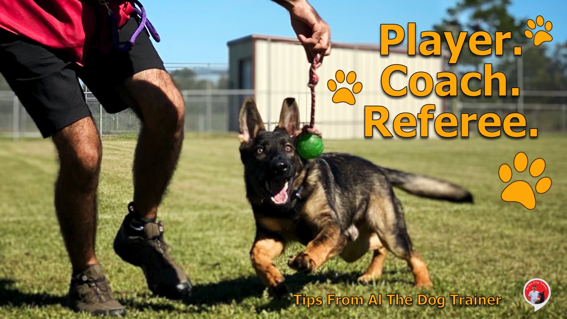 Player. Coach. Referee. - Longoriahaus Dog Training