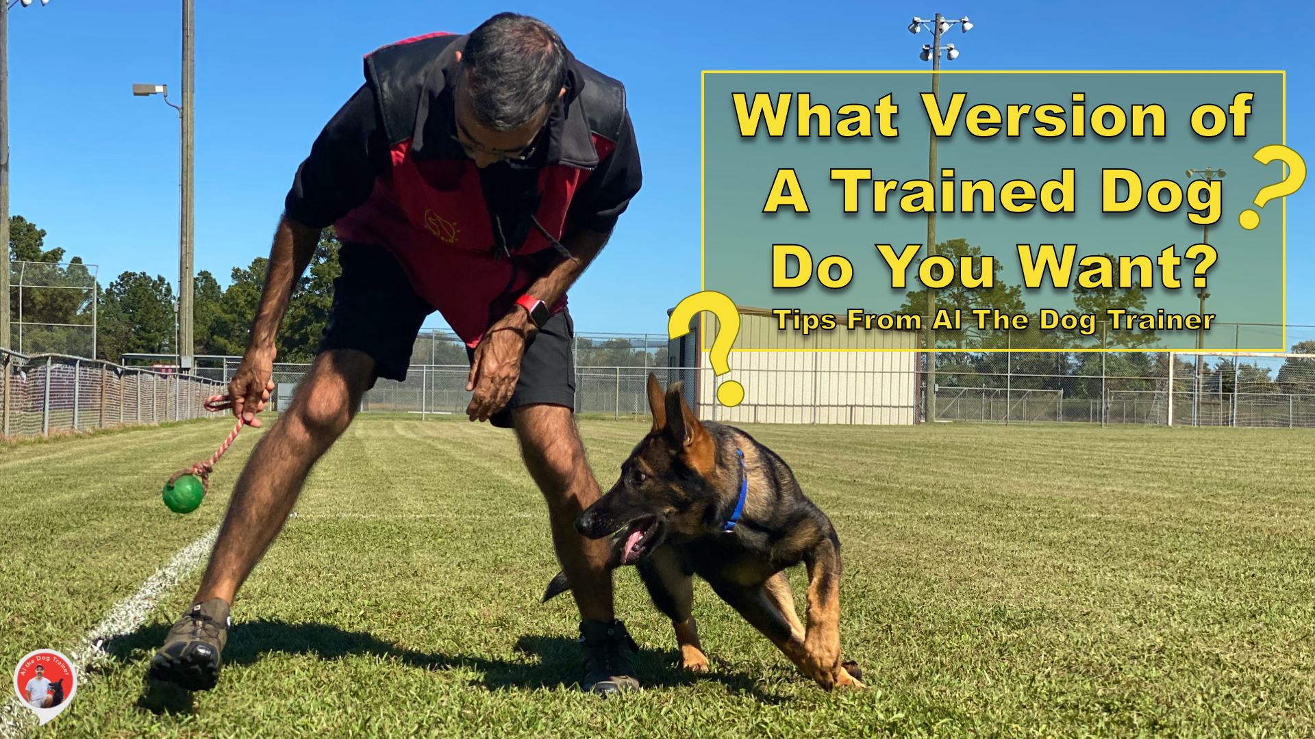 What Version of A Trained Dog Do You Want? - Longoriahaus Dog Training